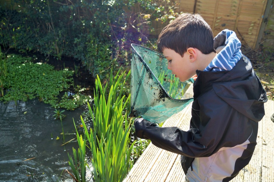 Grand Opening of the New Pond Dipping Platform on Horfield Common ...