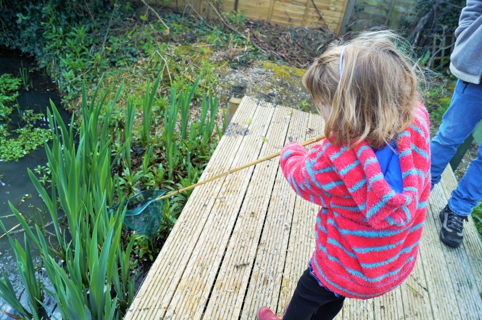 Grand Opening of the New Pond Dipping Platform on Horfield Common ...