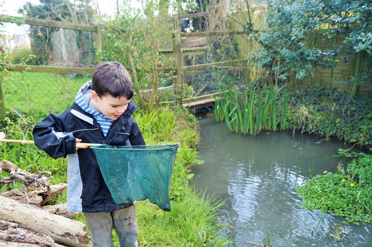 Grand Opening of the New Pond Dipping Platform on Horfield Common ...