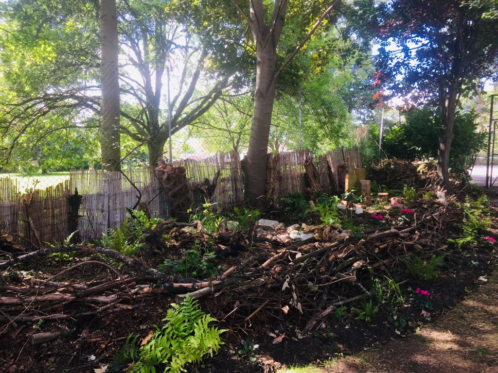 Horfield Common Fernery: reviving Victorian fern-fever in Bishopston ...